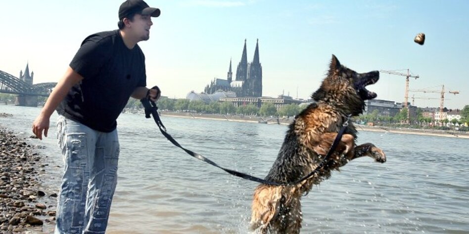 Kreaturen, die die Welt nicht braucht: Der Scheißer und Beißer - taz.de