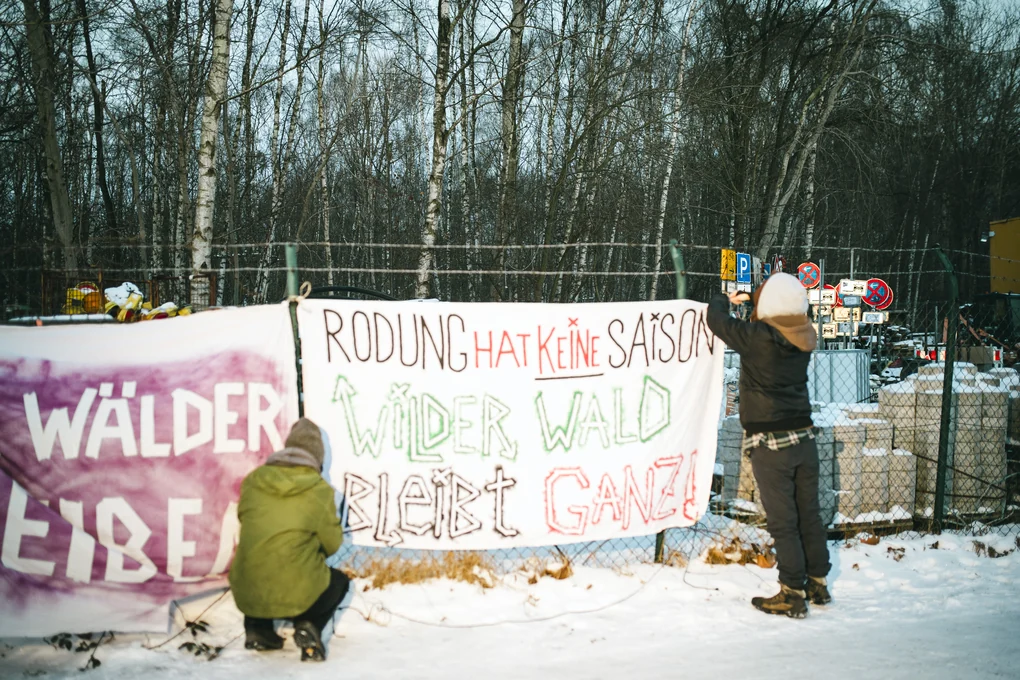 „Wilder Wald“ in Hamburg: Frostiges Warten auf die Sägen | taz.de