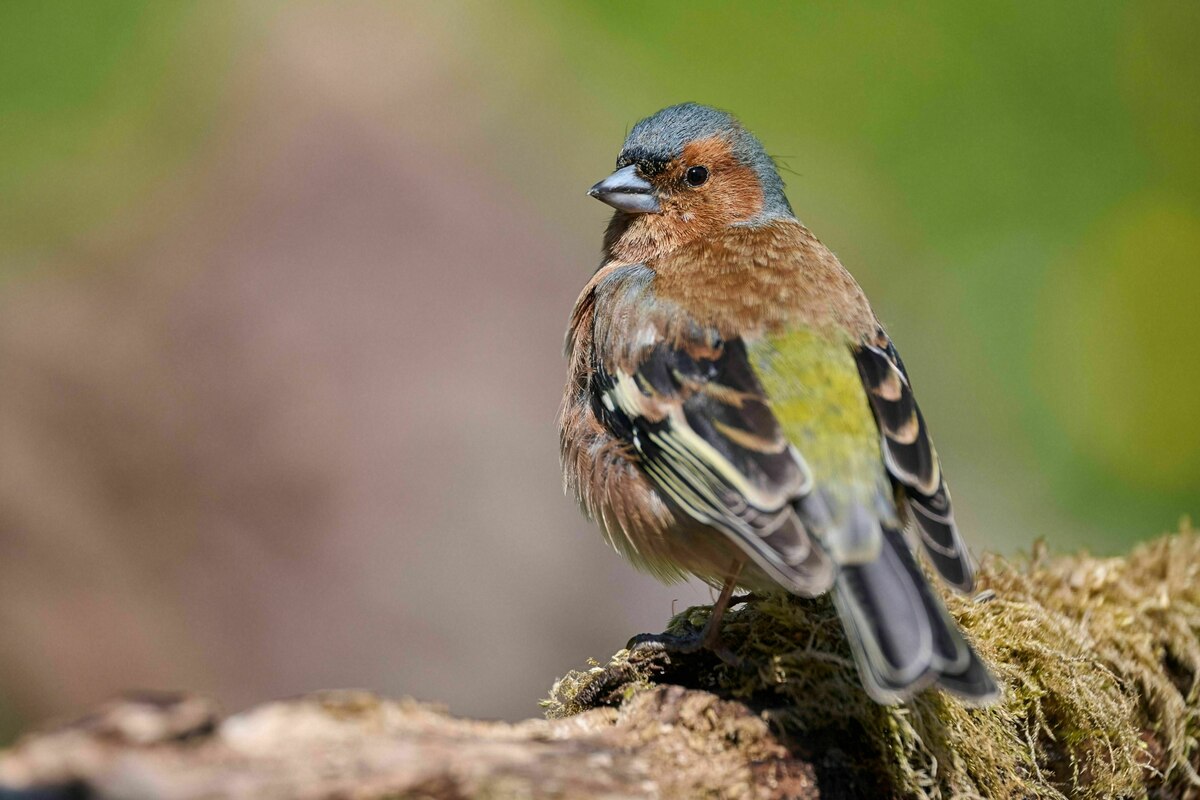 Nachtleben in der Berliner Musikszene: Gerümpel im Flügel | taz.de