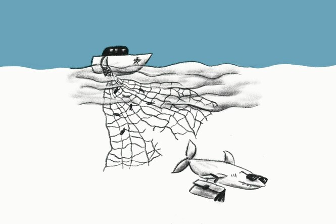 Alle Artikel von Anne Brorhilker | taz.de