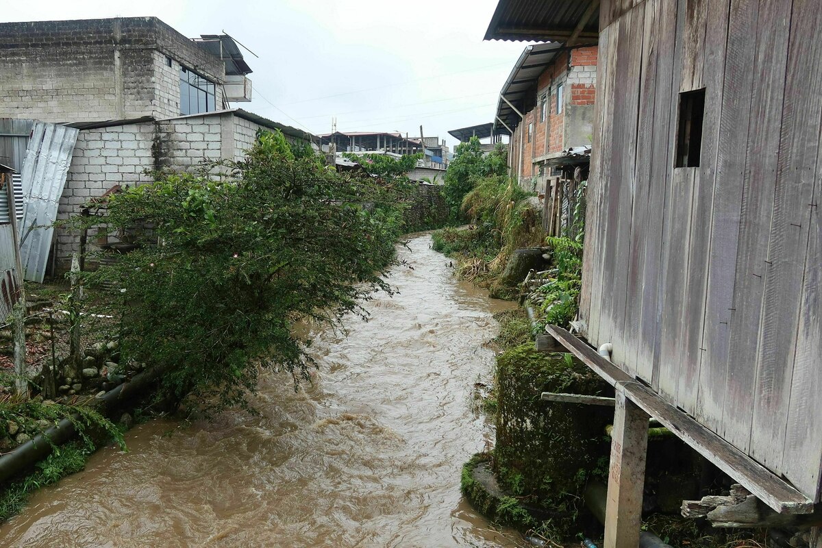 Umweltkrise in Ecuador: Wenn sauberes Trinkwasser nicht ...