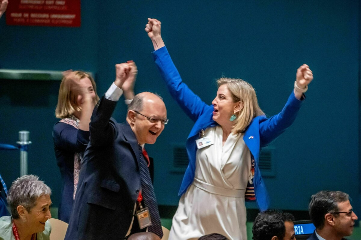 Wahl zum UN-Sicherheitsrat: Tiefschlag für Merz | taz.de